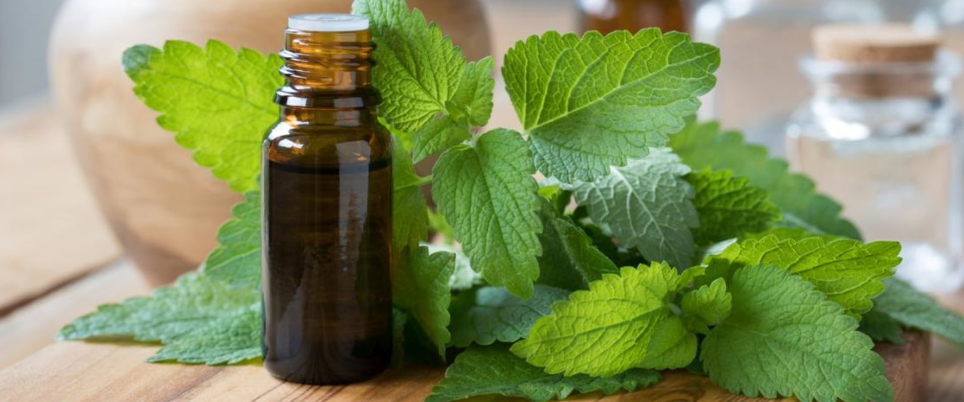 Lemon Balm Extract: A Home Remedy for Mouth Herpes