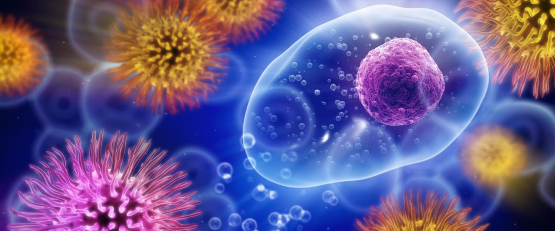 Understanding Immune System Deficiencies
